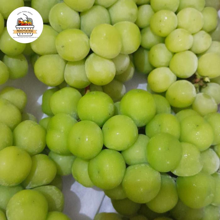 Jual anggur shine muscat 1kg / anggur manis hijau / anggur jepang - 1 ...