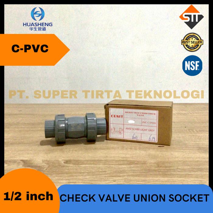 Jual C-PVC Check Valve Union Socket Sch.80 PN10 - 1 Inch - Kab ...
