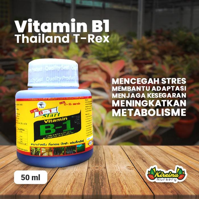 Jual Vitamin B1 Thailand T-Rex 50ml - Kab. Sukoharjo - Kireina Nursery ...