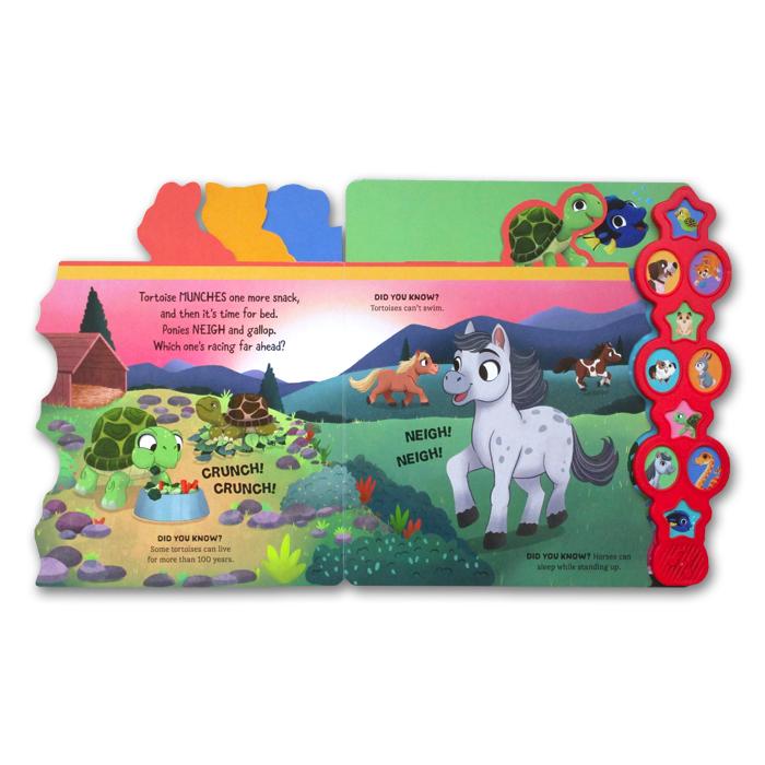 Jual Pet Sound Book Buku Cerita Anak Bersuara Hewan Peliharaan Di ...