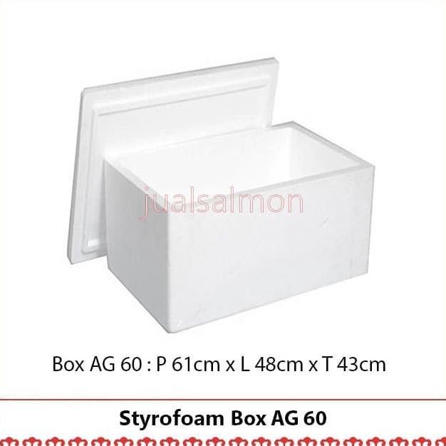 Jual Styrofoam Box Ag 60/Box Styrofoam Besar/Ice Box 40 Kg/Box Ikan ...