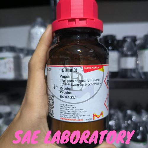 Jual PEPSIN MERCK 107185 100GR - Kota Bandung - SAE LABORATORY | Tokopedia
