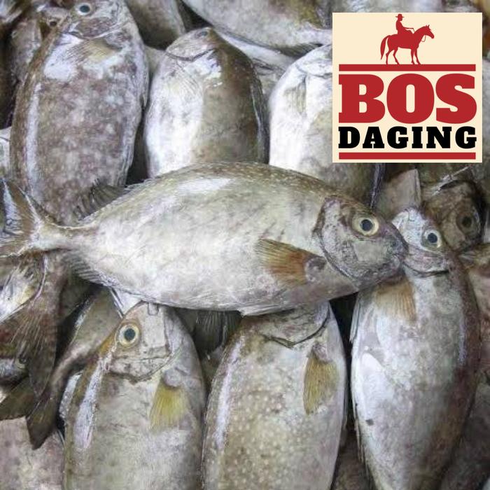 Jual Ikan Baronang / ikan laut segar - Kota Tangerang Selatan - Bos ...
