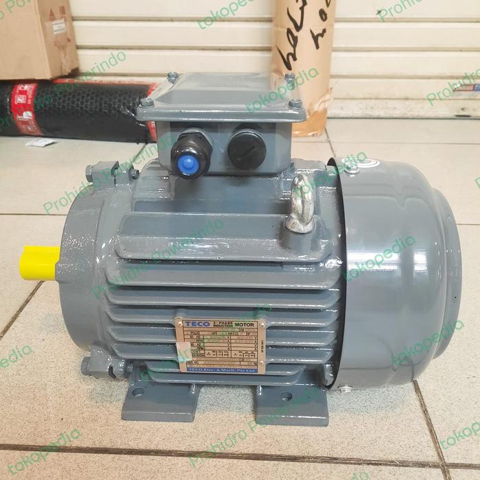 Jual Teco Dinamo 30 HP 22 KW 3000 Rpm B3 2P Foot Mounted - Jakarta Barat - PROHIDRO POWERINDO ...
