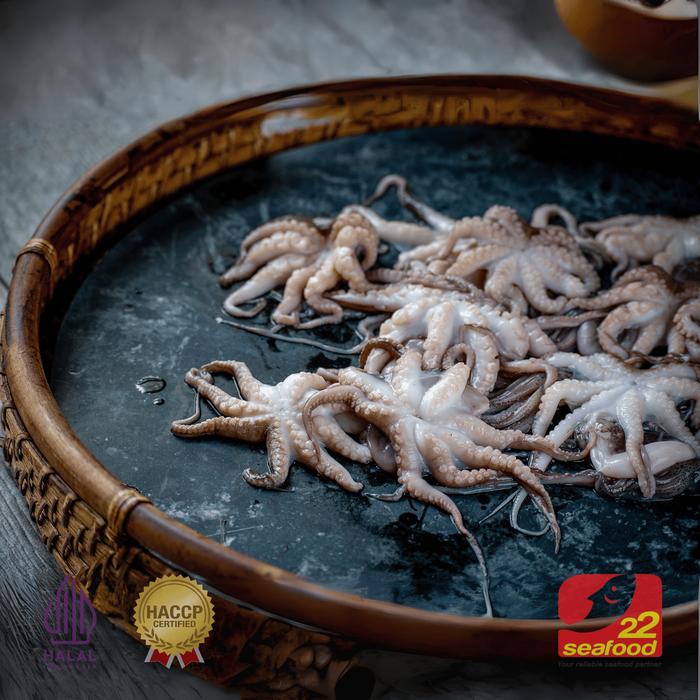 Promo Octopus / Baby Octopus Utuh 500 gr / Baby Gurita / Seafood 22 ...