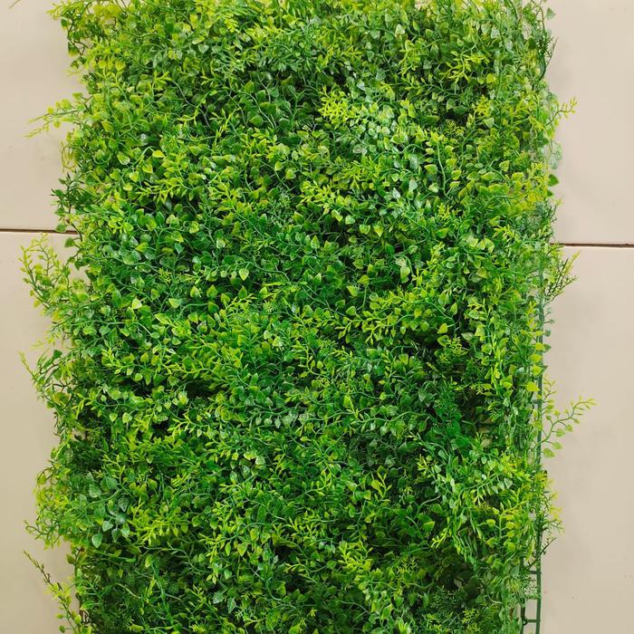 Jual DAUN VERTICAL GARDEN GREEN - TANAMAN HIAS DINDING - DAUN DOLAR ...
