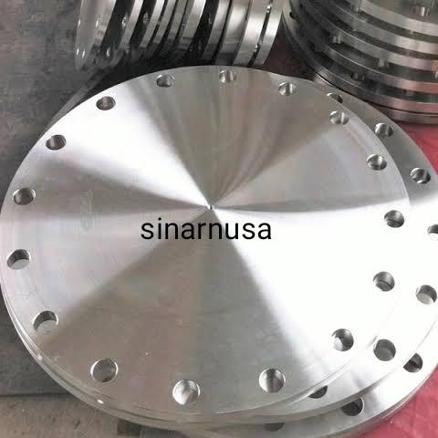 Jual Blind Flange Buta Stainless 316 JIS 10K 12 " inchi DN 300 ...