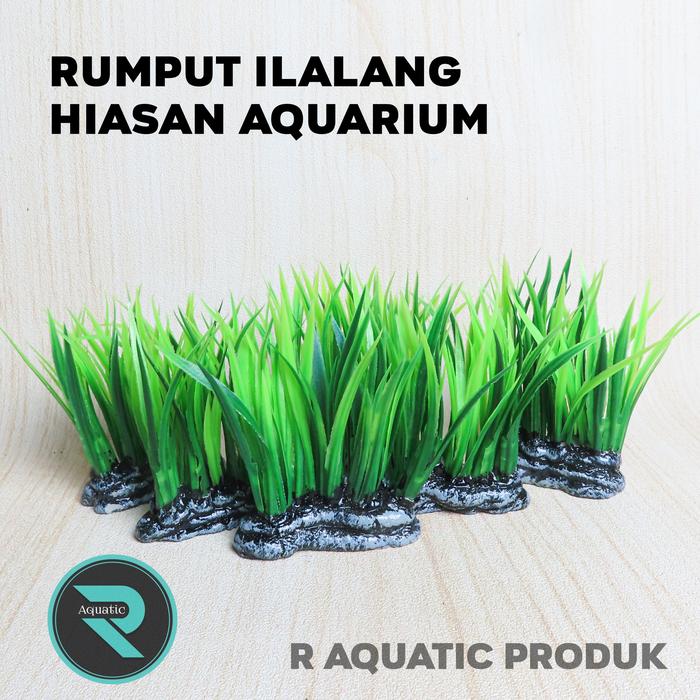 Jual ornamen rumput ilalang hiasan aquarium kualitas premium - Kab ...