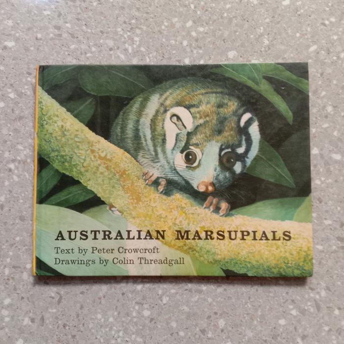 Jual Buku Pengetahuan Hewan Mamalia Khas Australia - Australian ...