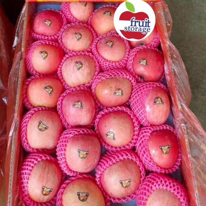 Jual Buah Segar Apel Fuji China Manis Garing 1kg Fuji Apple RRC ...