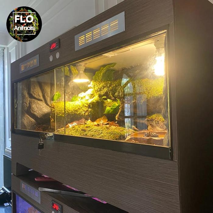 Promo Kandang reptil.enclouser - Jakarta Timur - FLO REPTIL | Tokopedia