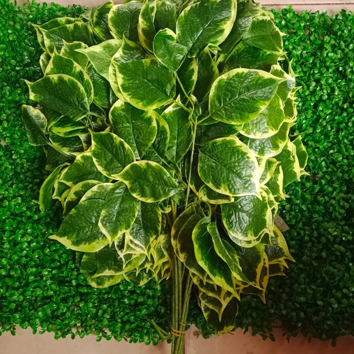 Jual Daun Simpu Artificial 1 Lusin Daun Sintetis Simpu Cabang 5 Lis ...