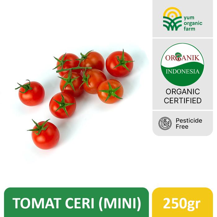 Jual Tomat Ceri Organik/Mini/250g/Sayuran Organik Jakarta/YUM Organic ...