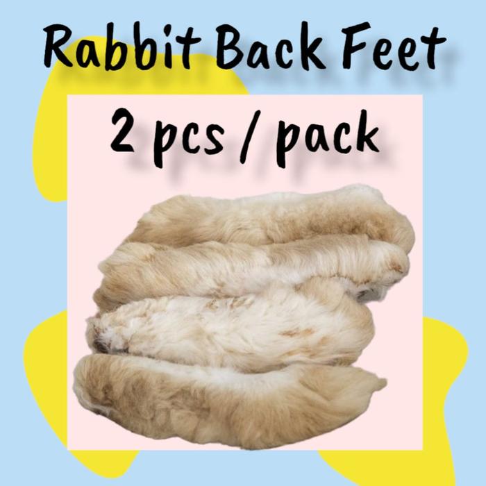 Jual Rabbit Bone / Ear / Feet / Head / Tail Jerky -Dog Snack Cemilan ...