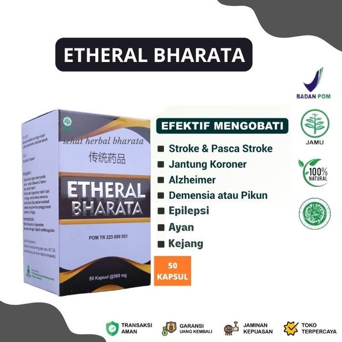 Jual Obat Herbal Stroke & Epilepsi Paling Ampuh Etheral Bharata ...