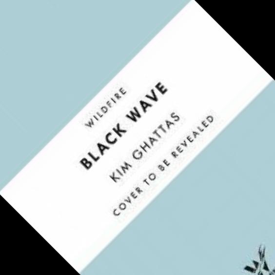 Jual Black Wave: Saudi Arabia, Iran & the Rivalry – Kim Ghattas ...