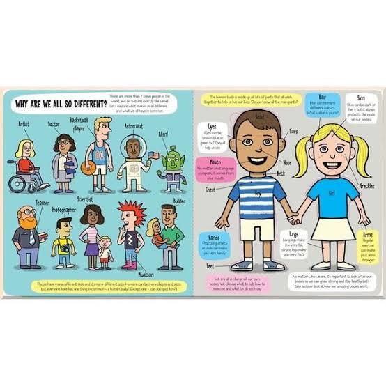 Jual Little Explorers My Amazing Body Board Book Lift The Flap Children ...