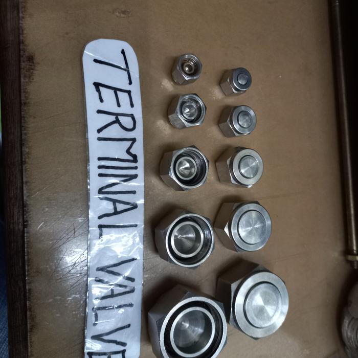 Jual plug nut swagelok ss-600-P 3/8" - Jakarta Barat - terminal valve ...