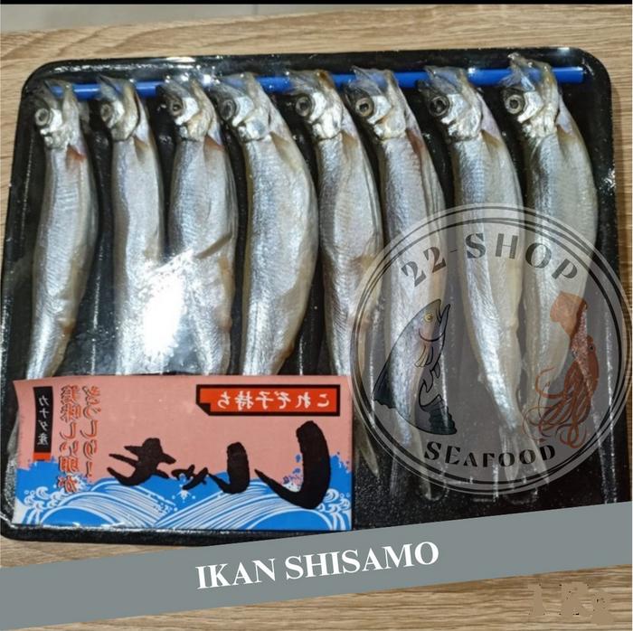 Jual Ikan Shisamo - Shisamo Fish - Ikan Capelin - Besar DAN Telur ...