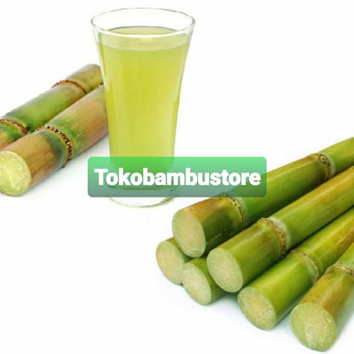 Jual Batang tebu hijau segar 1 kg - Kab. Bandung Barat - Toko Bambu ...