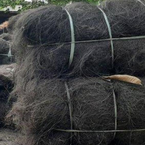 Jual ijuk aren 1 kg - Kab. Pangandaran - Lagoona Fresh | Tokopedia