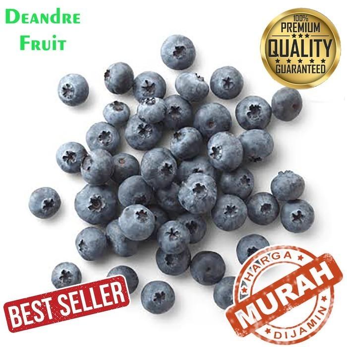 Jual DIJAMIN MURAH 500gr Buah Blueberry import Frozen Buah Beku Blue ...