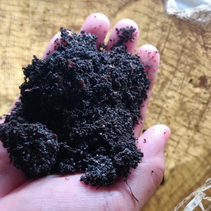Jual Pupuk Organik KasGoT (Bekas Maggot) 50kg - Kota Bogor ...