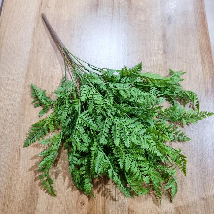 Jual Daun Pakis Group Artificial x 10 - HIJAU TUA - Jakarta Barat ...