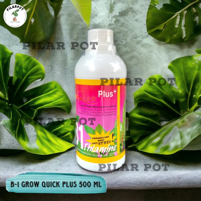 Jual GROW QUICK VITAMIN B1 PLUS 500 ML PUPUK HORMON AKAR KEMASAN BESAR - Kota Tangerang - pilar ...