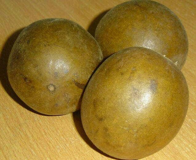 Jual Buah Lo Han Kuo - lohankuo 100% asli import - Kab. Tangerang ...