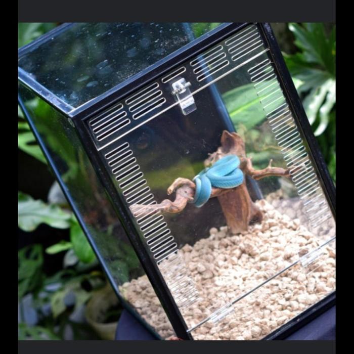 Jual TUTUP AKRILIK GEX L BISA UNTUK REPTIL/ TARANTULA DEWASA - Kota Bandung - spider lover ...