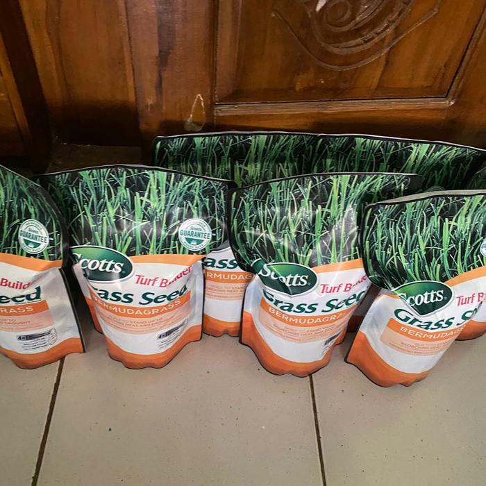 Jual Bibit rumput bermuda benih biji rumput bermuda grass 1 kilogram ...