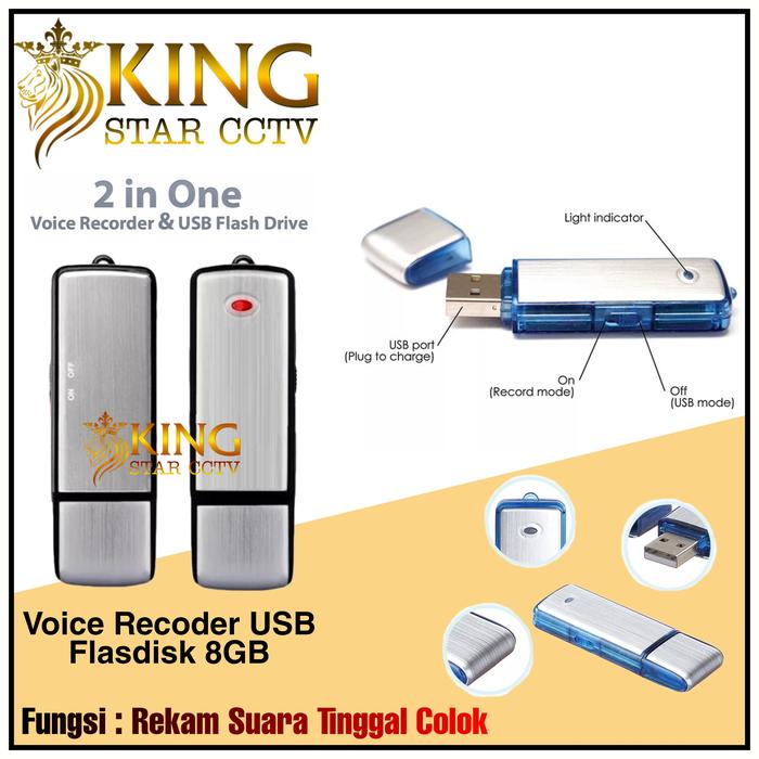 Jual ALAT PEREKAM SUARA VOICE RECORDER FLASDISK USB SOUND SPY RECORDER ...