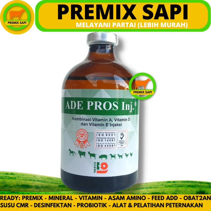 Jual ADE PROS INJ 100ML Vitamin ADE Daya Tahan Tubuh & Produktivitas ...