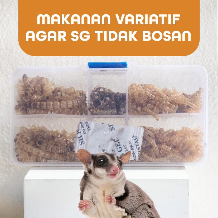 Jual CEMILAN MINI BOX MIX HEMAT : FRUITY - BONDING & TREATS - BUGS PRO ...