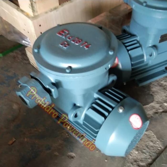 Jual Dinamo Explosion Proof 15HP 11KW Rpm 2950 B3 3 Phase - Jakarta Barat - PROHIDRO POWERINDO ...