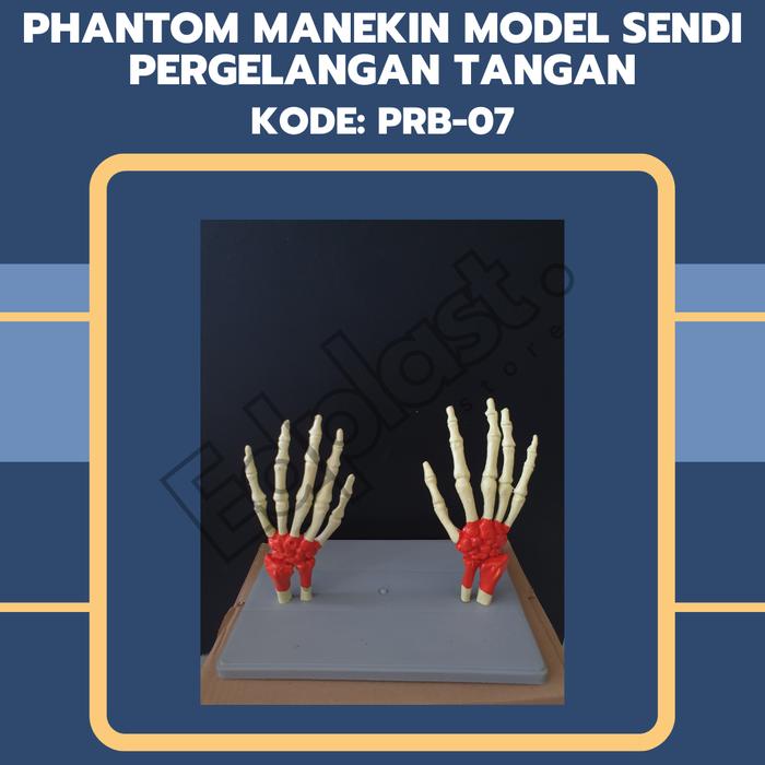 Jual PHANTOM TORSO ANATOMI | ALAT PERAGA MODEL SENDI PERGELANGAN TANGAN ...