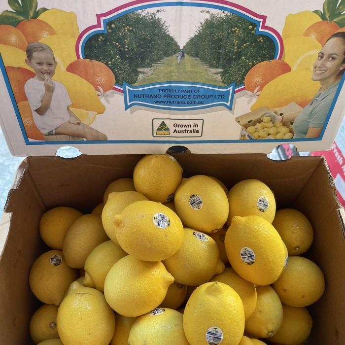 Jual Lemon | lemon impor | lemon australia | lemon usa | lemon amerika ...