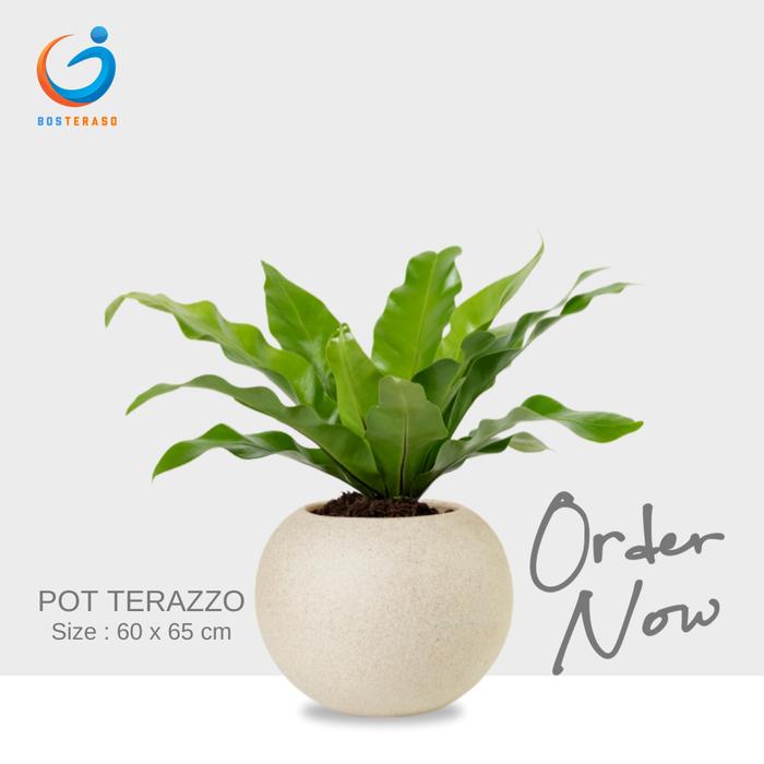 Jual Pot Teraso / Terazzo Besar 60 x 65 Model Bulat - Kab. Bogor - Bos ...
