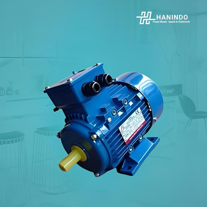 Jual 10 HP 7,5 KW 3 Phase 4 Pole Elektro Motor/Dinamo/Motor Induksi B3 - Kota Surabaya - HANINDO ...