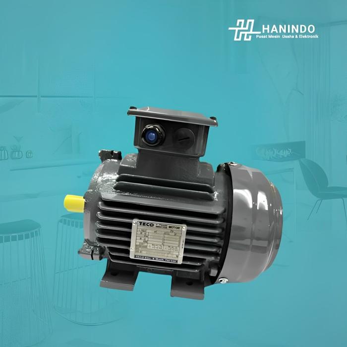 Jual Teco 25 HP 18.5 KW 3 Phase 2Pole B3 Elektro Motor/Dinamo/Motor Induksi - Kota Surabaya ...