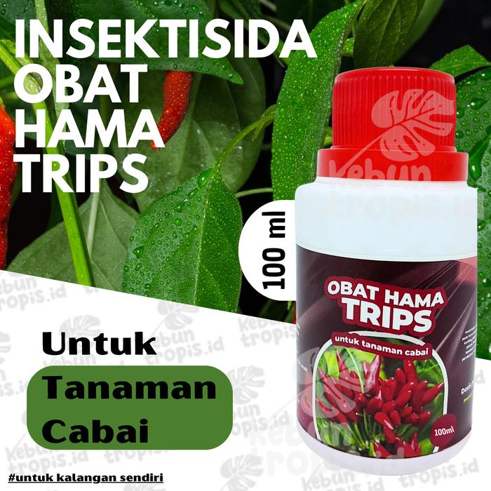 Jual Insektisida Obat Hama Trips Tanaman Cabai Pembasmi Wareng Kutu ...