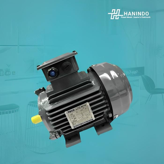 Jual Teco 5 HP 3.7 KW 3 Phase 6 Pole B3 Elektro Motor/Dinamo/Induksi - Kota Surabaya - HANINDO ...