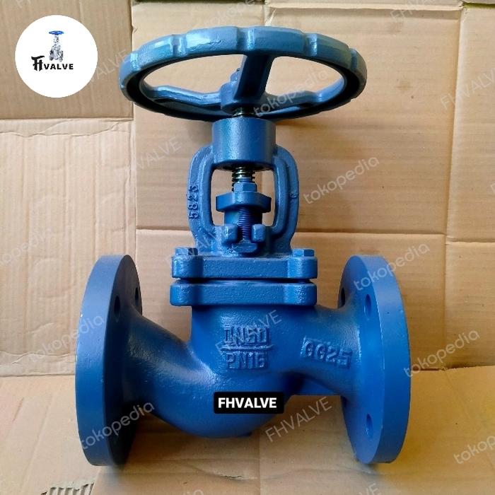 Jual Globe Valve Steam 2 Inch DN50 Flange PN16 Cast Iron - Kota ...