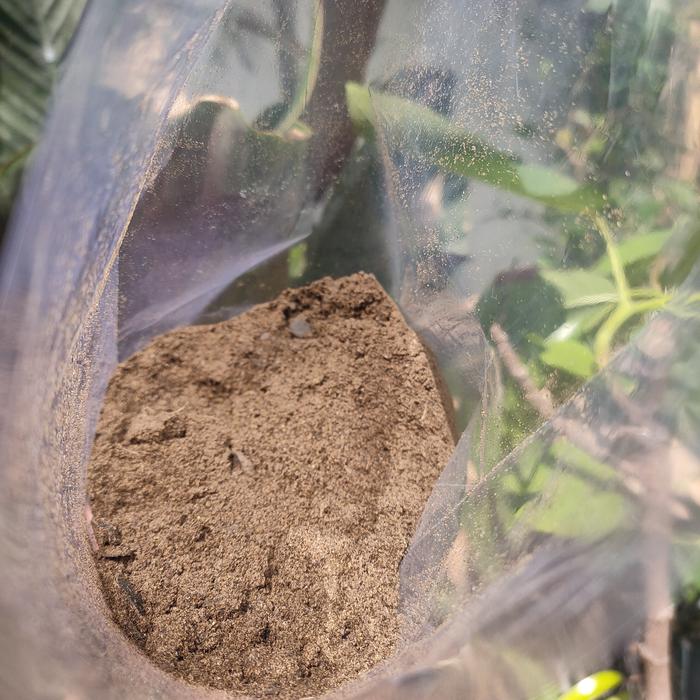 Jual Jual Tepung Maggot Magot 1kg - Kab. Sleman - Mitra Pakan | Tokopedia