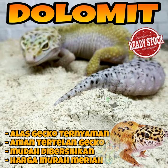 Promo 1 KG Dolomit gecko alas kandang tokek rumah gecko geko kadal ...