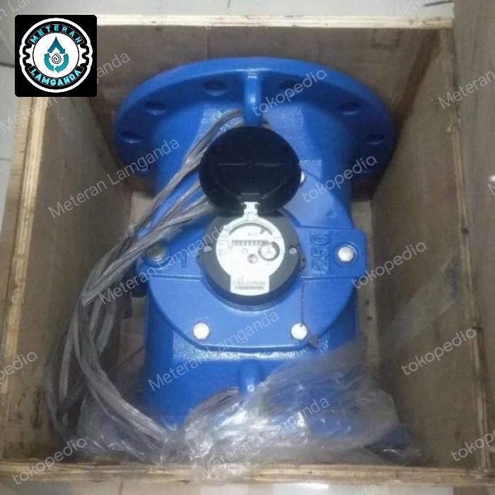 Jual Meteran Air/Water Meter Itron 10 Inch Dn 250 mm - Jakarta Barat ...