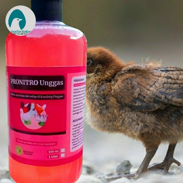 Jual Pronitro Unggas 500 ml Penghilang bau kotoran amonia kandang Ayam - Kab. Cirebon ...