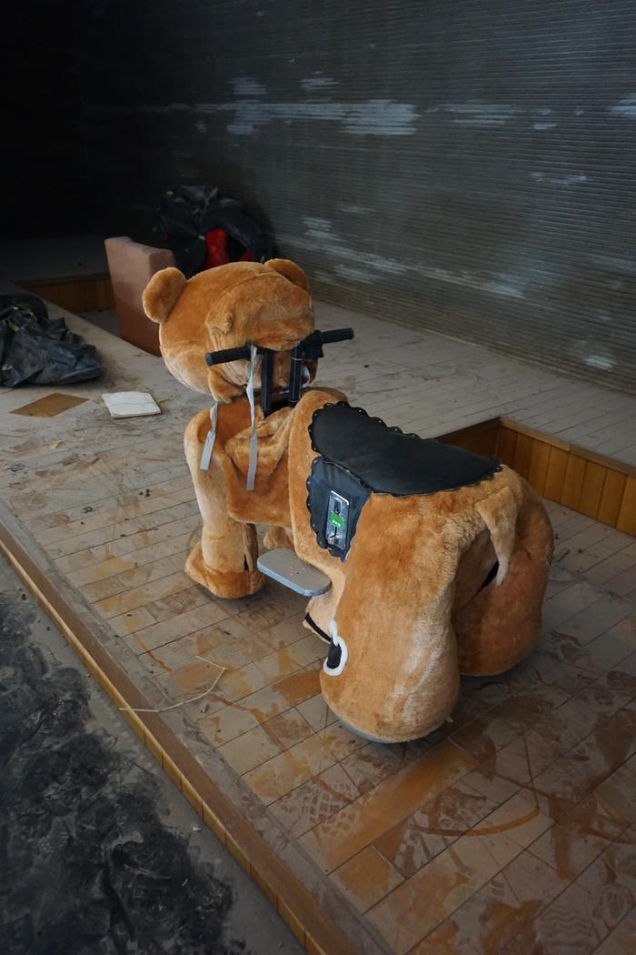Jual Kereta Anak Zoomov (ex Madagaskar Restaurant) Brown Bear Di Seller ...