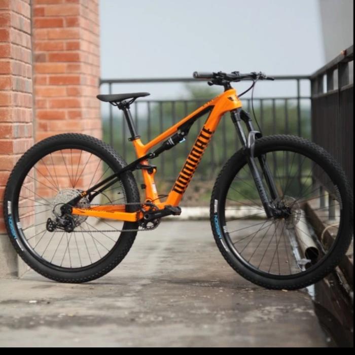 Jual Sepeda Gunung DOMINATE CTR ELITE CARBON FULL SUSPENSION 12 SPEED - Kota Tangerang Selatan ...